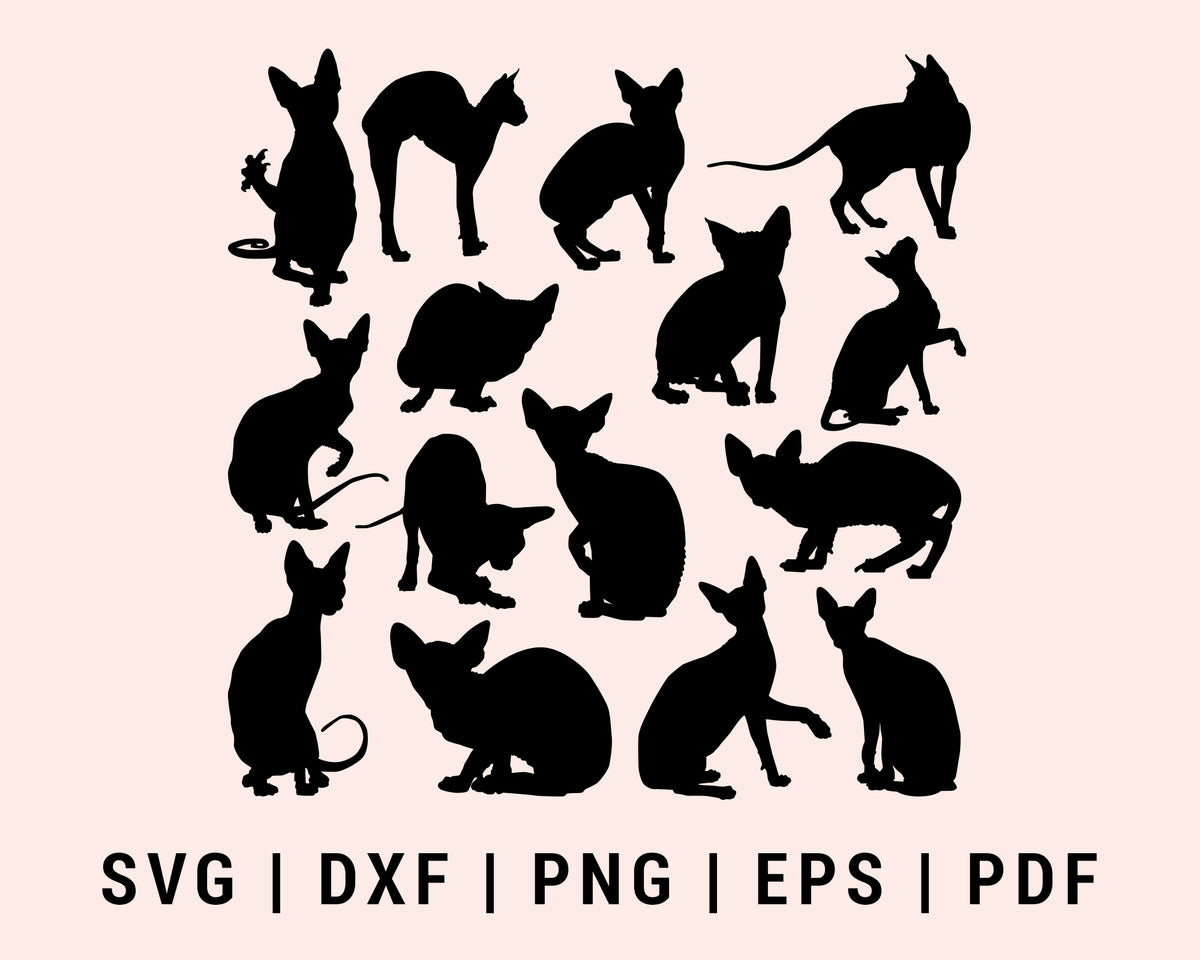Sphynx Cats svg – Creativedesignmaker